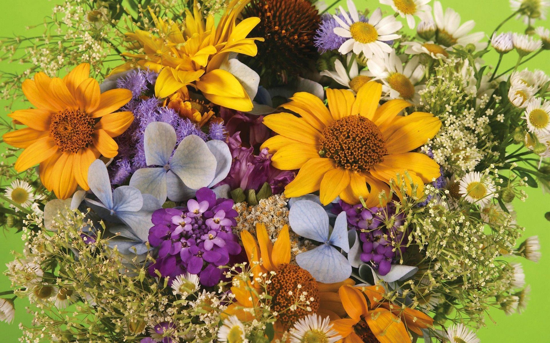 Spring Flower Desktop Wallpapers - Wallpaper Cave