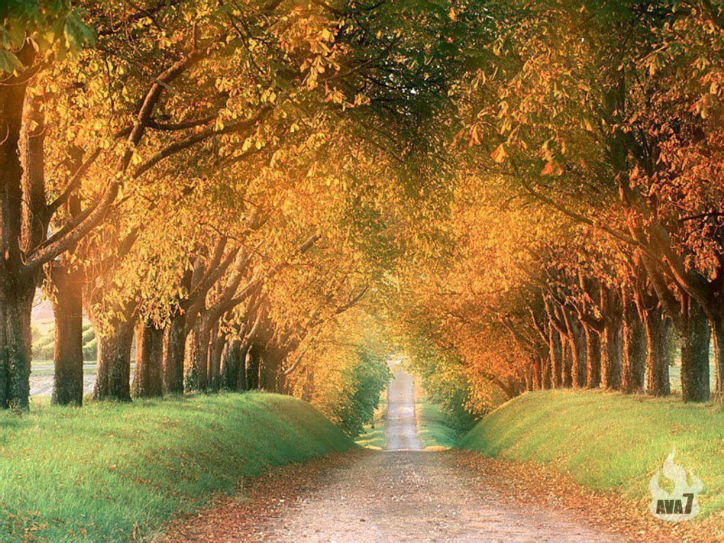 Nice Nature Wallpapers - Wallpaper Cave