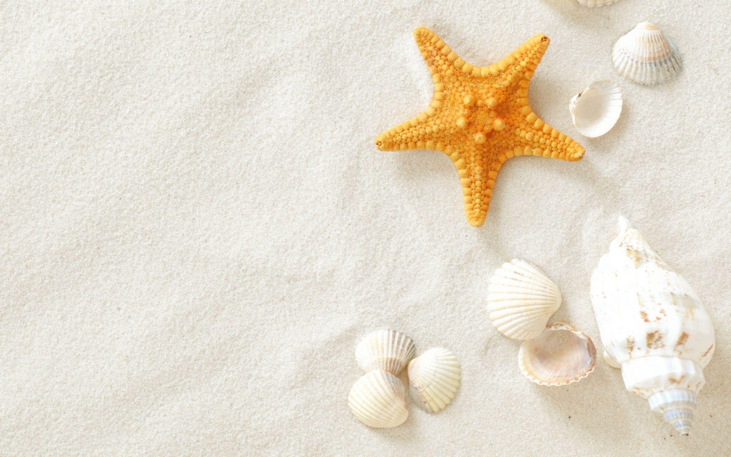 Starfish Backgrounds - Wallpaper Cave