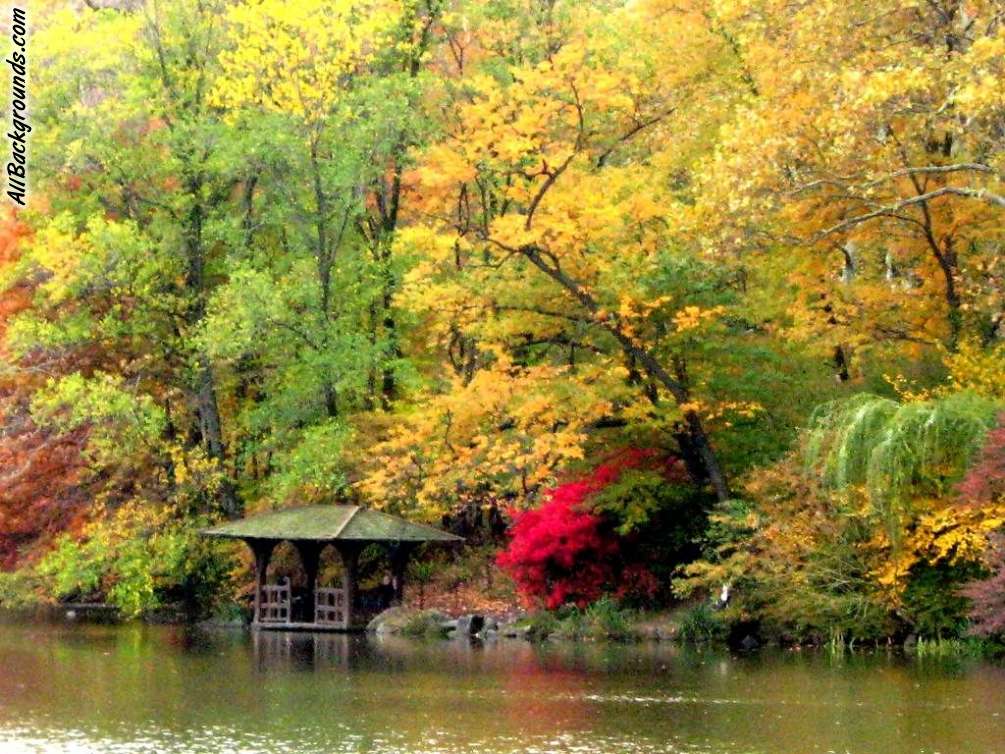 Fall Colors Backgrounds - Wallpaper Cave