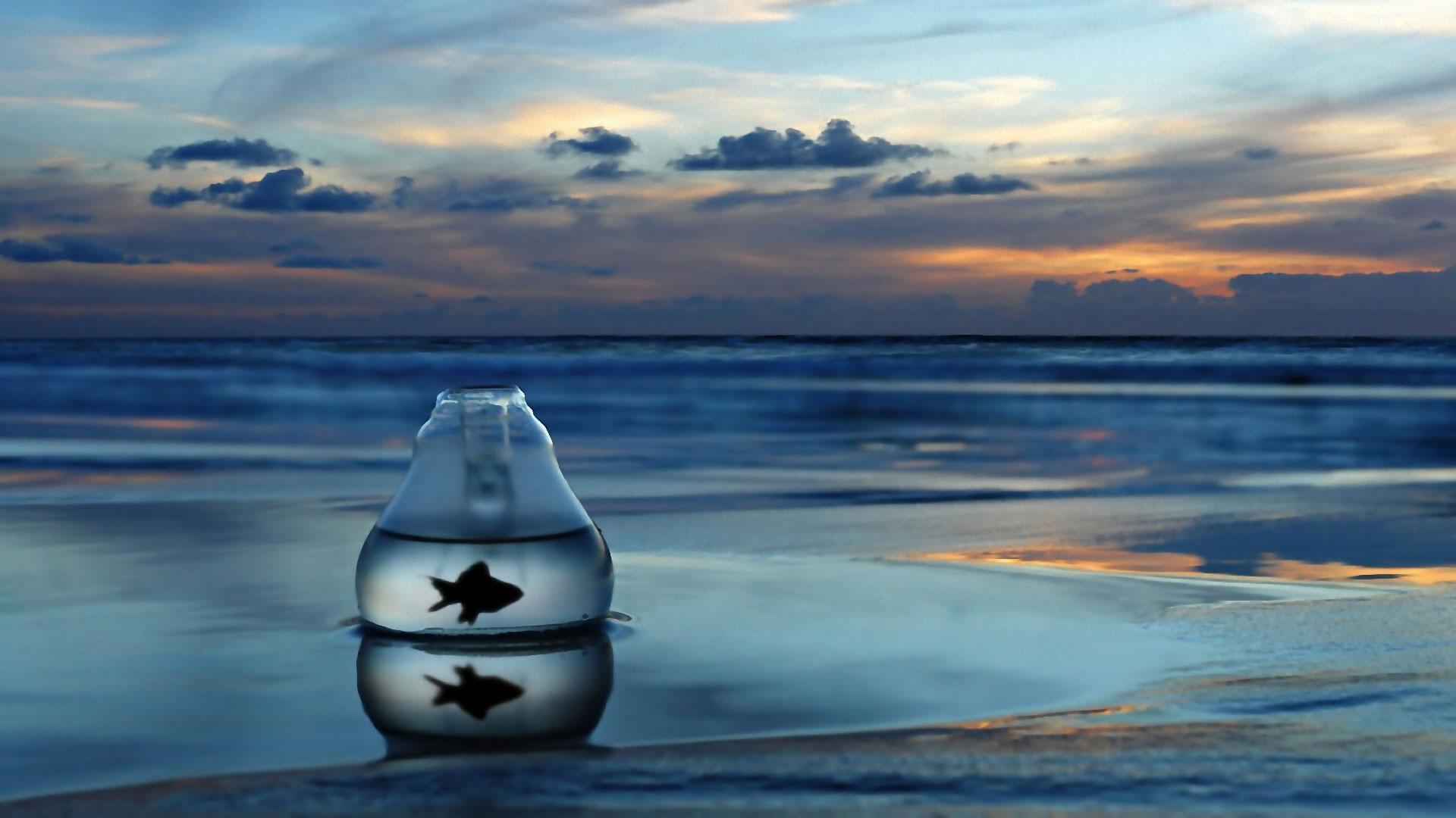 Sea Wallpapers Wallpaper Cave Sea Wallpapers Wallpaper Cave