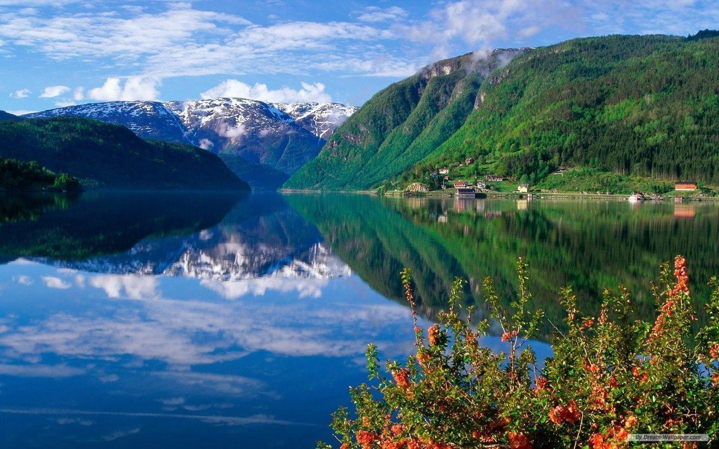 Nature Free Wallpapers - Wallpaper Cave