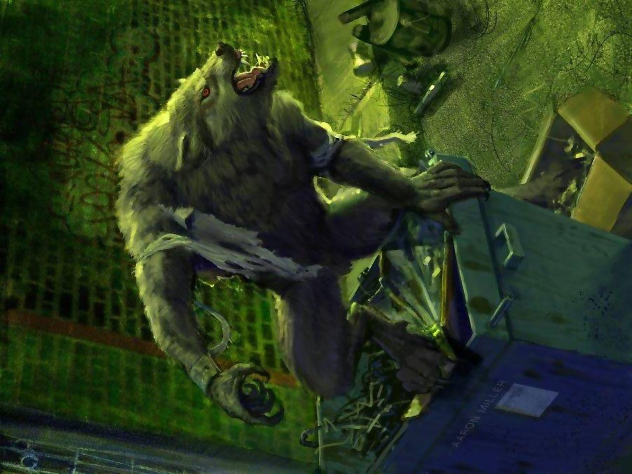 Werewolf Backgrounds - Wallpaper Cave