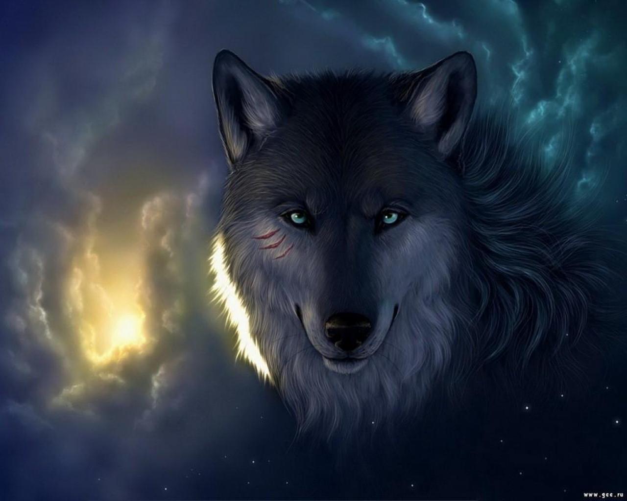 Wild Wolf Wallpapers - Wallpaper Cave