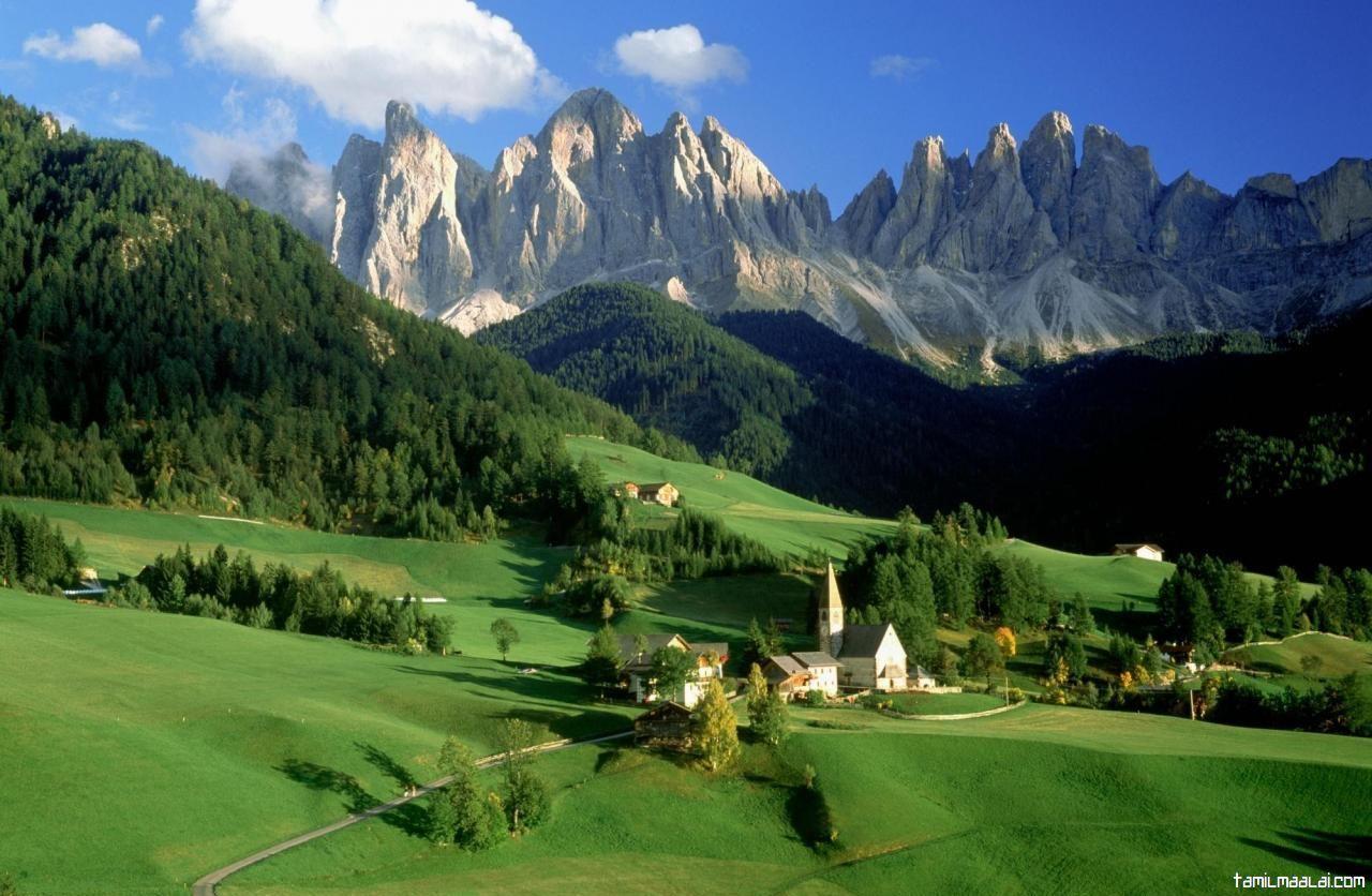 Free Online Desktop Wallpapers - Wallpaper Cave