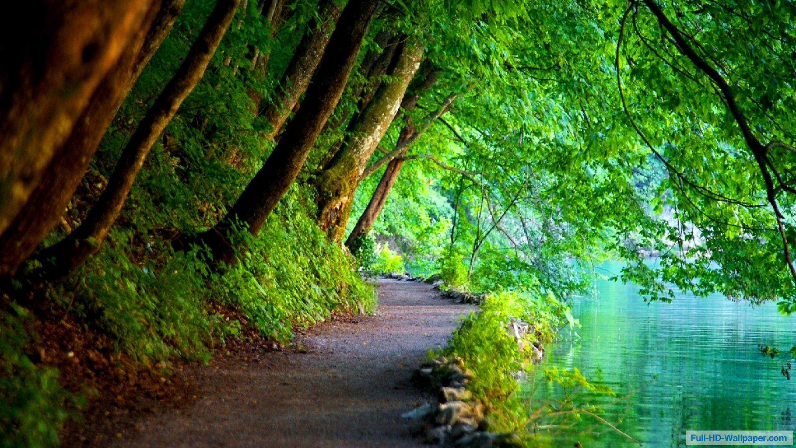 Free Online Desktop Backgrounds - Wallpaper Cave