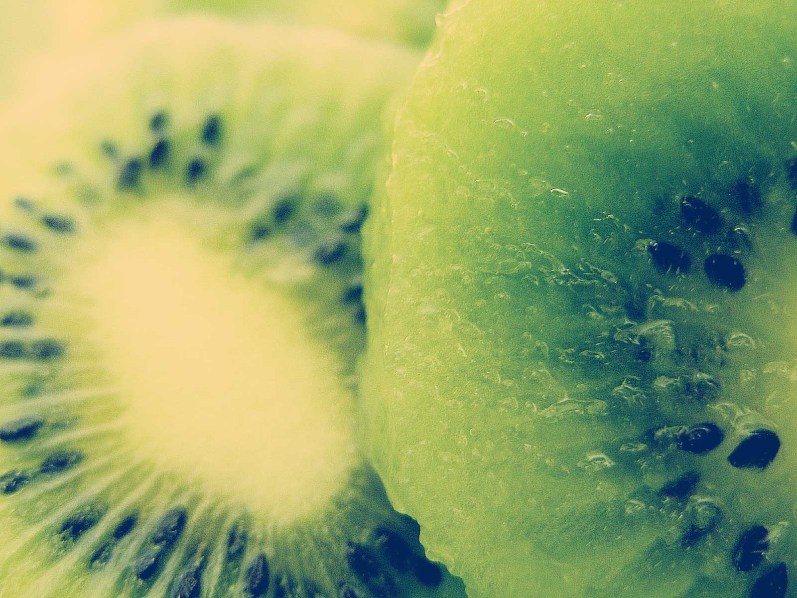 Kiwi Wallpapers - Wallpaper Cave