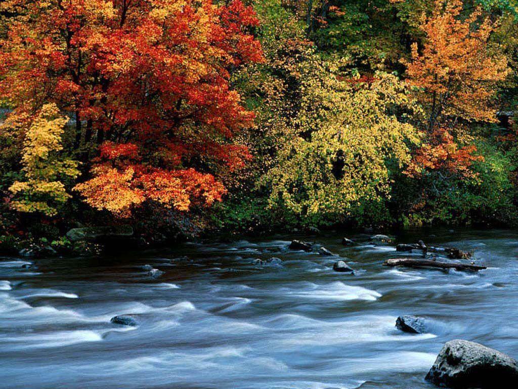 Free Desktop Wallpapers Fall - Wallpaper Cave