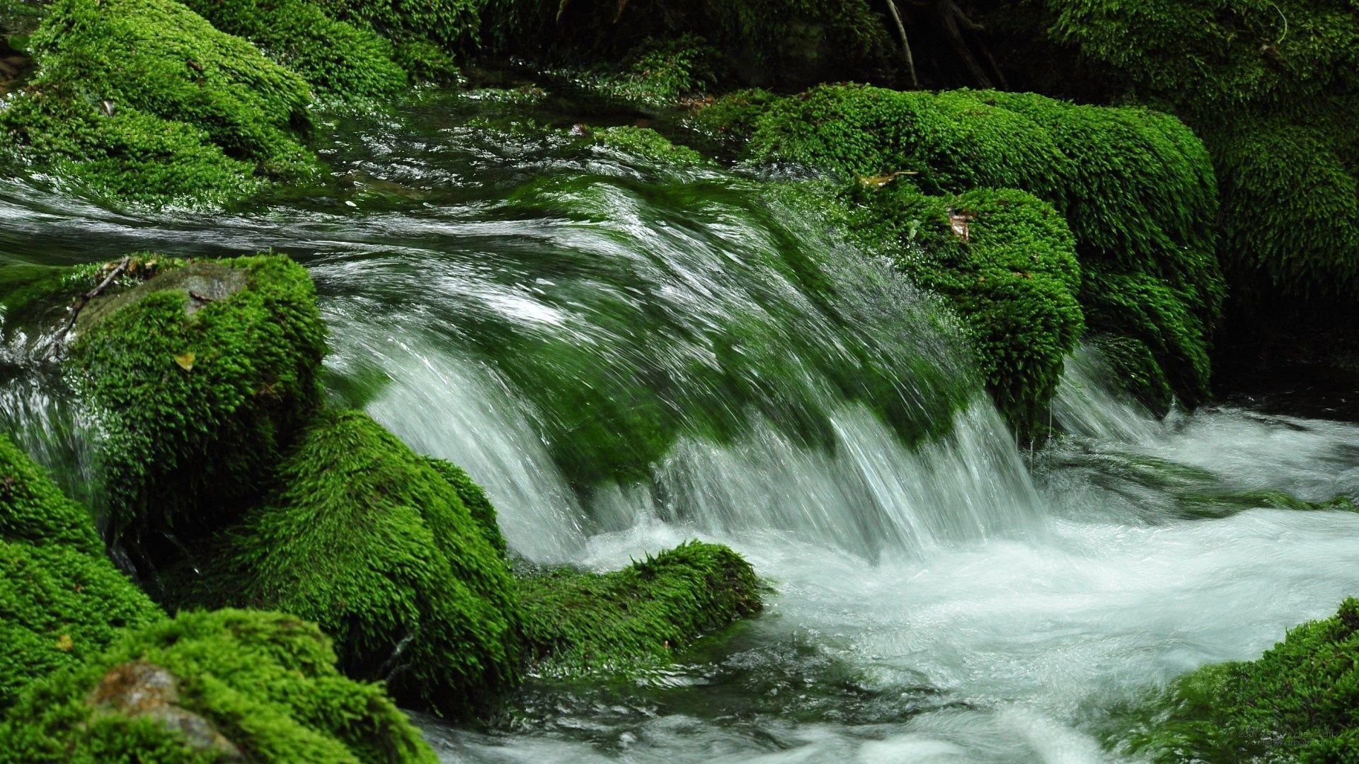 Free Online Desktop Wallpapers - Wallpaper Cave