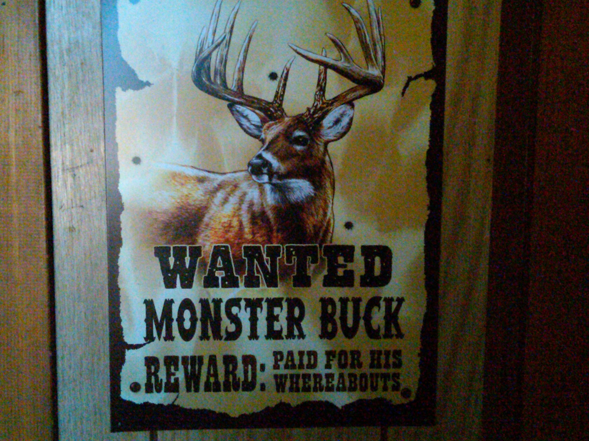 Monster Bucks Fighting