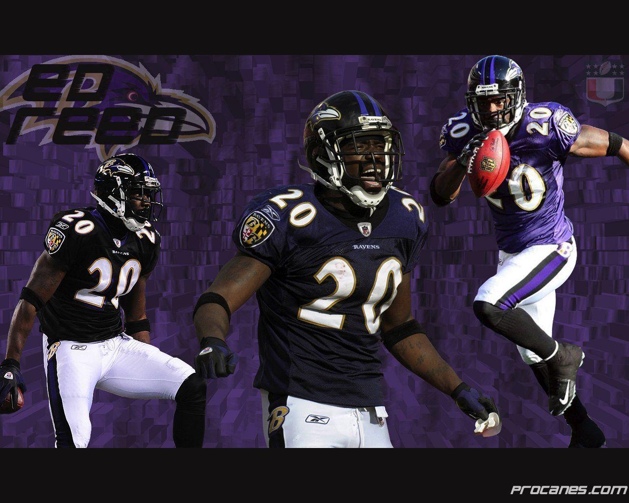 Ed Reed Wallpapers - Wallpaper Cave