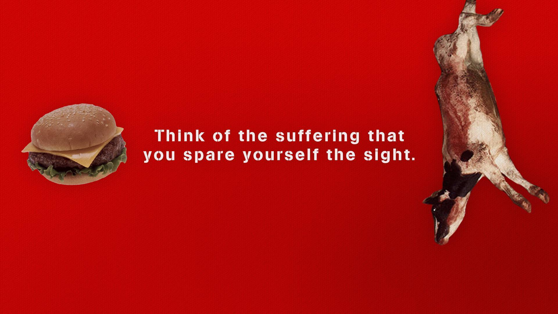 Peta Wallpapers - Wallpaper Cave