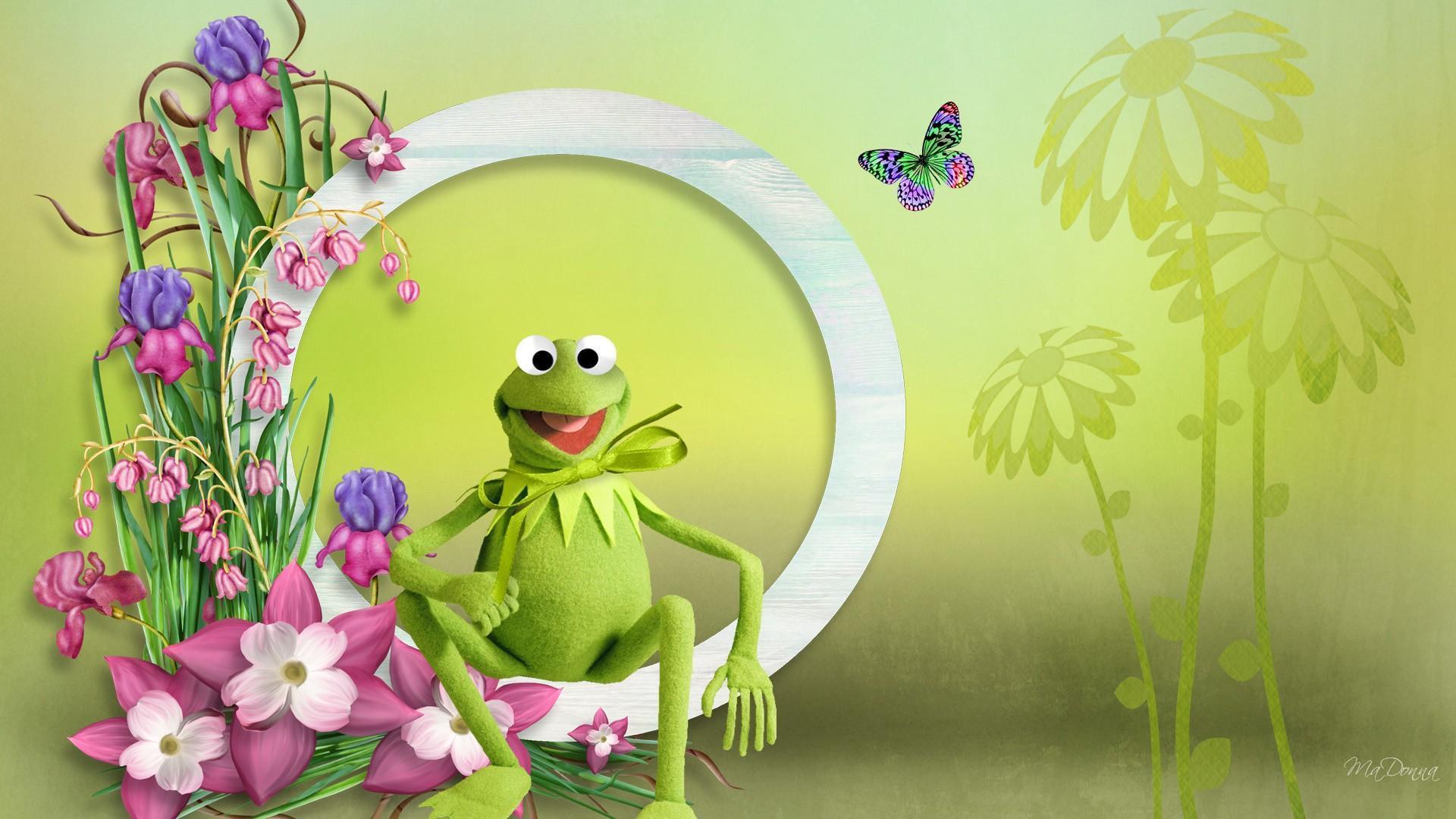 Froggy Wallpapers - Wallpaper Cave