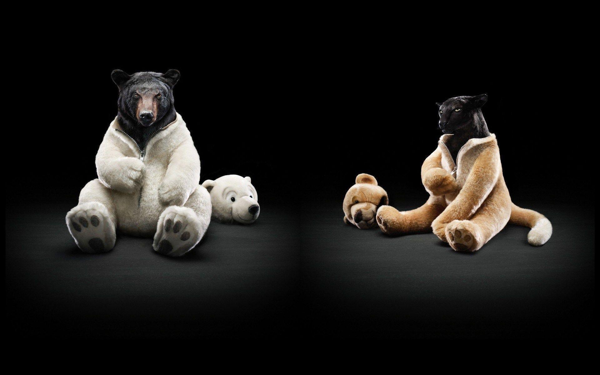 Pic Of Funny Wallpapers - Wallpaper Cave