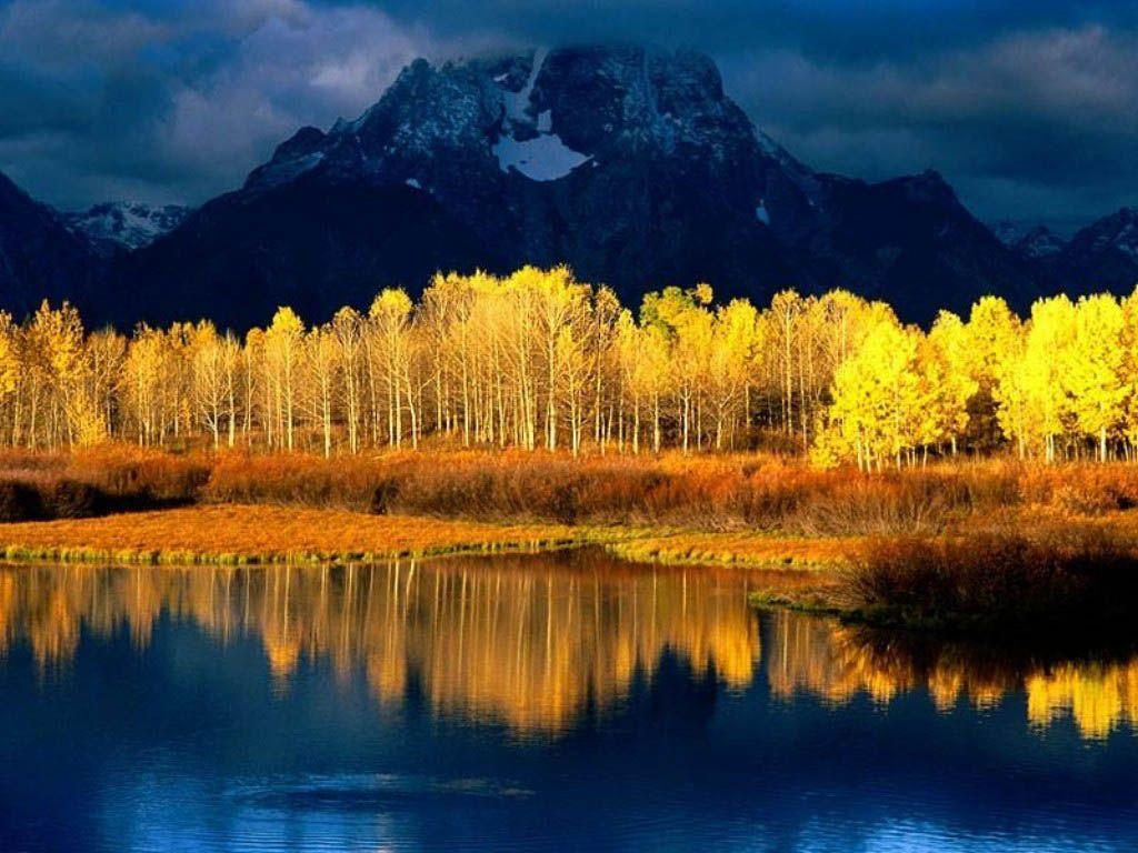Nature Desktop Backgrounds - Wallpaper Cave