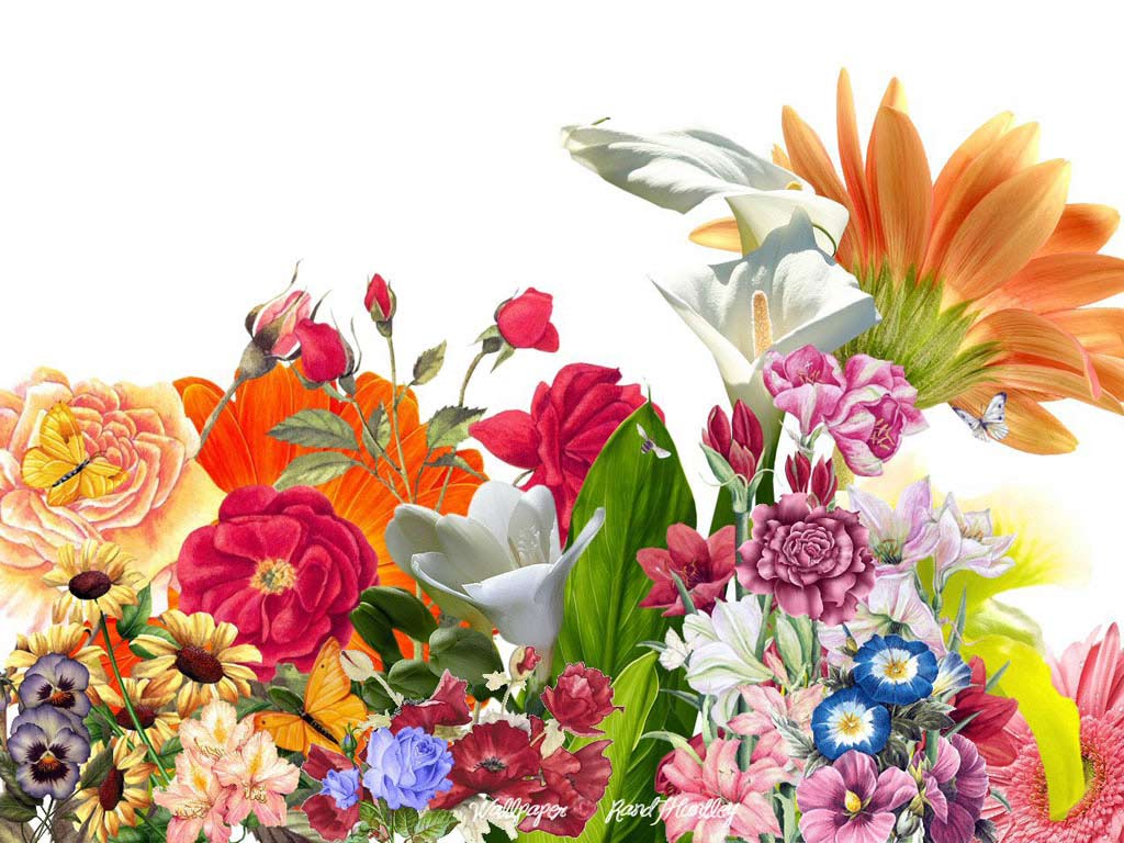 Images Of Flower Backgrounds - Wallpaper Cave