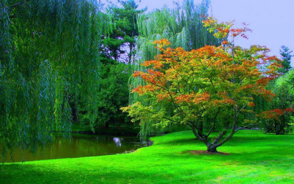 Latest Nature Wallpapers - Wallpaper Cave