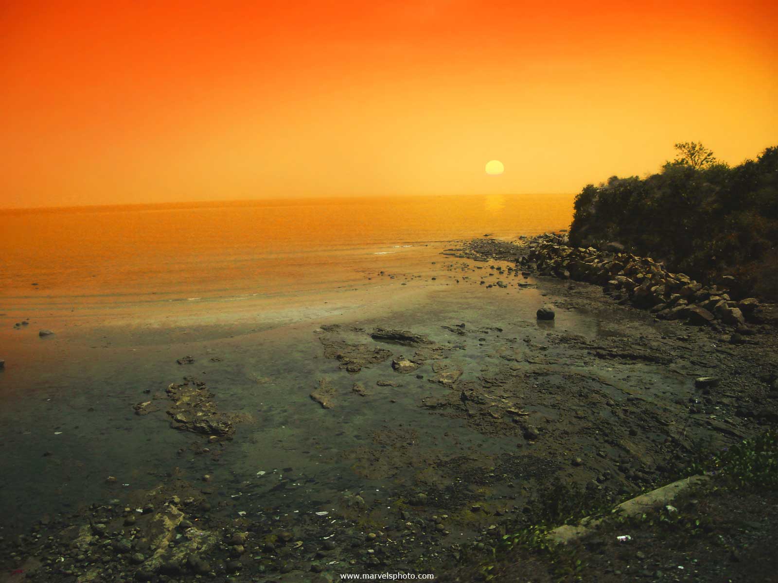 Natural Backgrounds Wallpapers - Wallpaper Cave