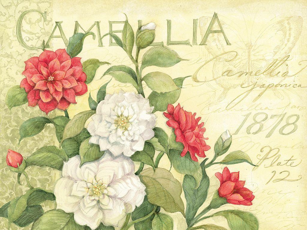 LANG Desktop Wallpapers - Wallpaper Cave