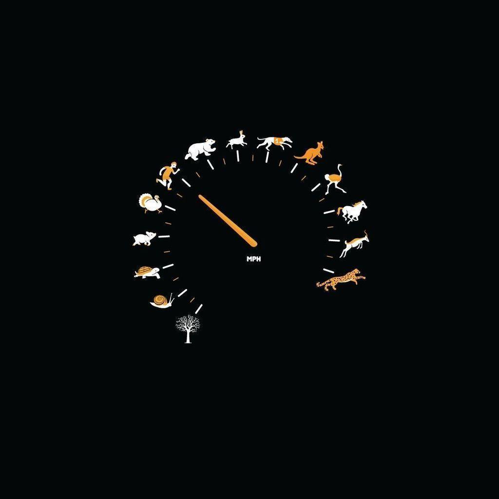 Funny Desktops Wallpapers - Wallpaper Cave