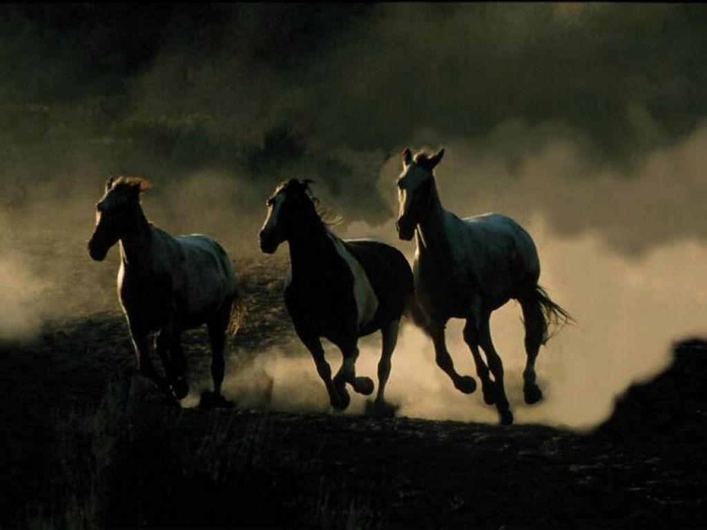 Wild Horse Wallpapers - Wallpaper Cave