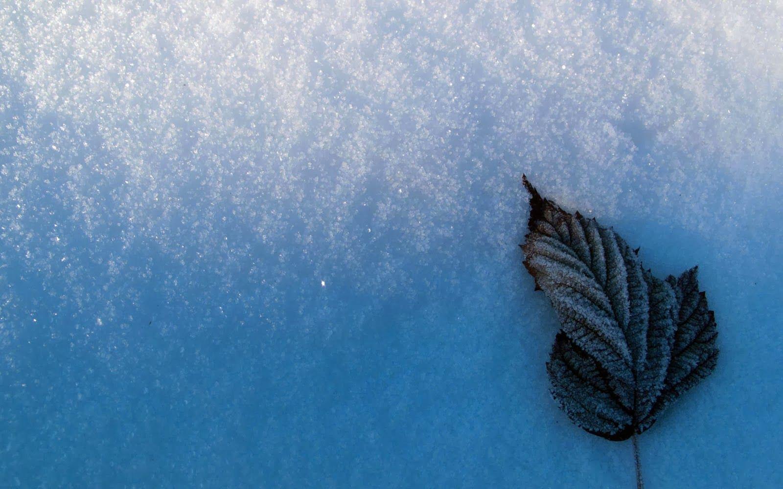 Snowing Desktop Backgrounds - Wallpaper Cave