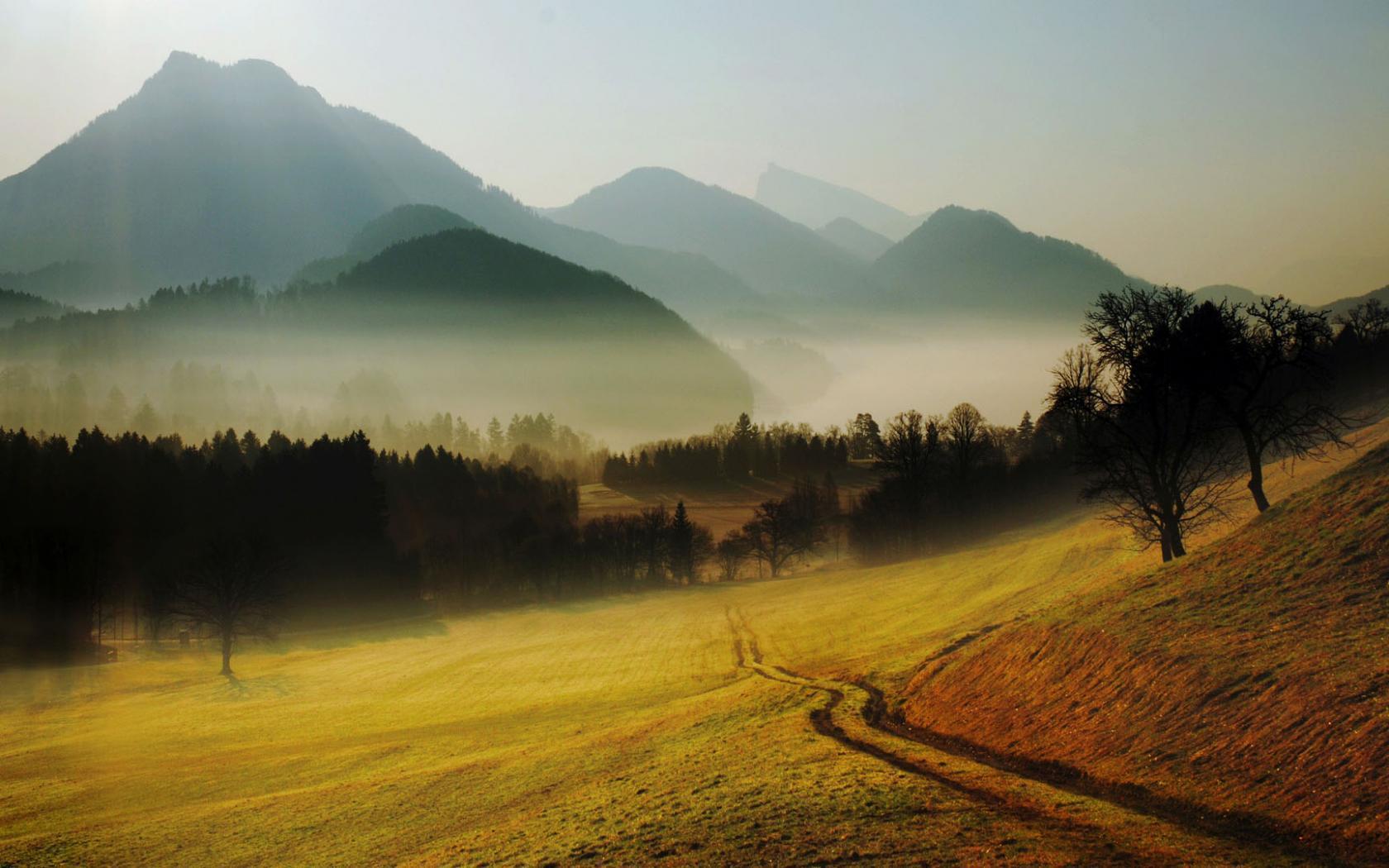 Online Desktop Wallpapers - Wallpaper Cave