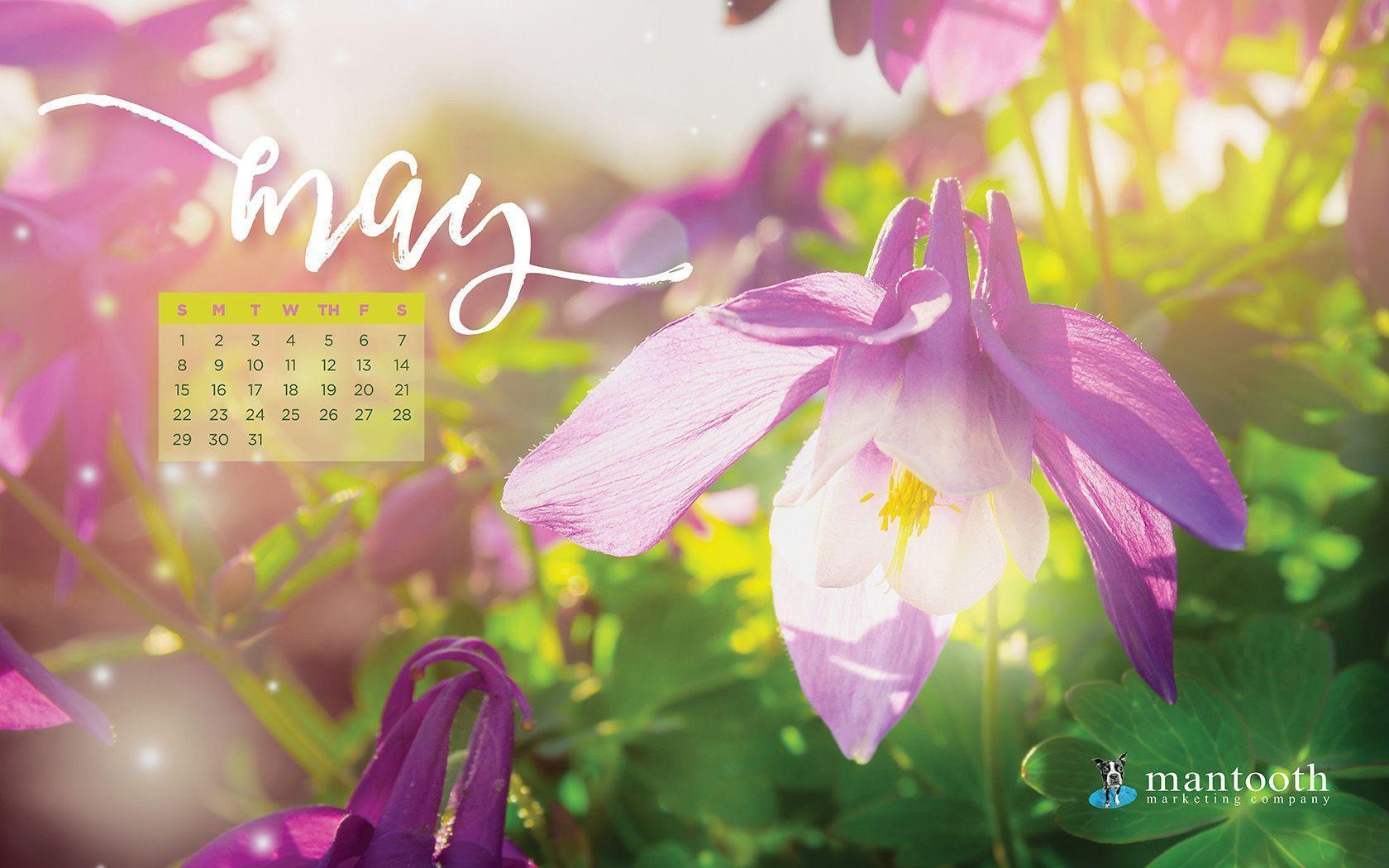 Free Desktop Backgrounds 2016 - Wallpaper Cave