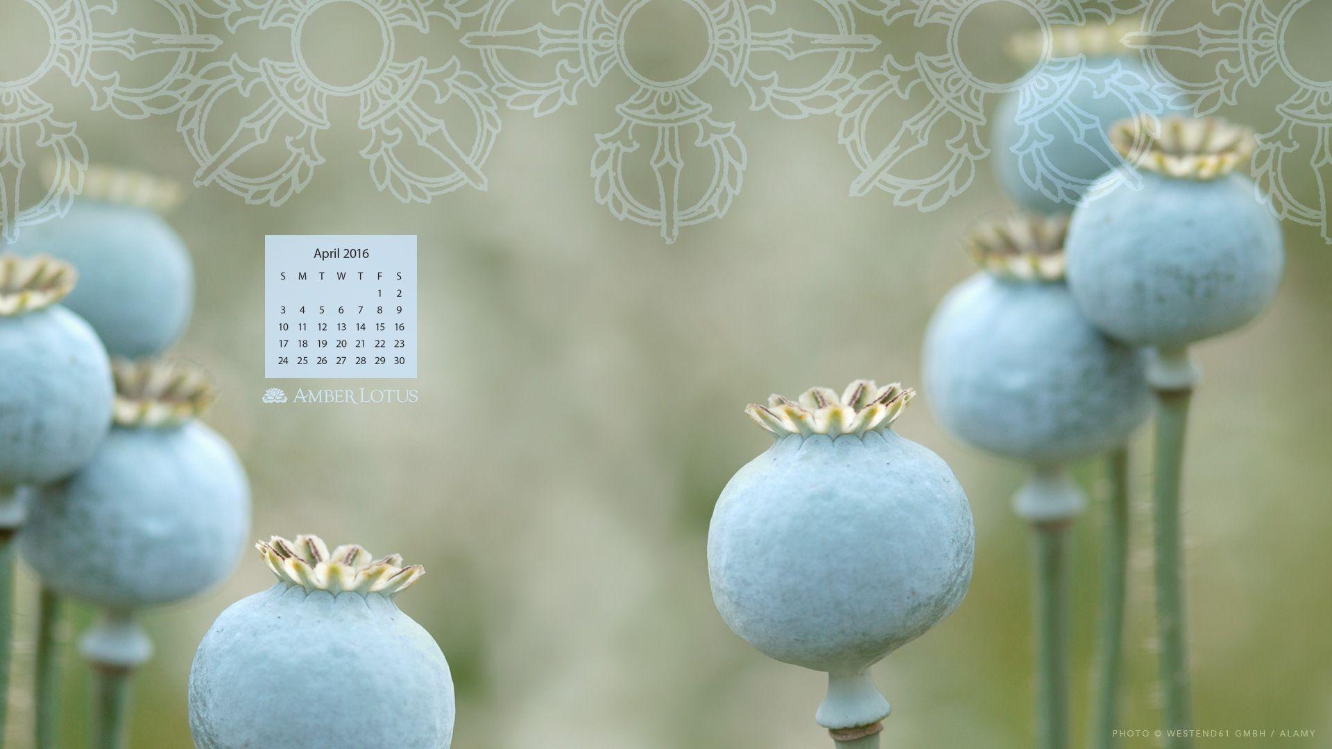 Free Desktop Backgrounds 2016 - Wallpaper Cave