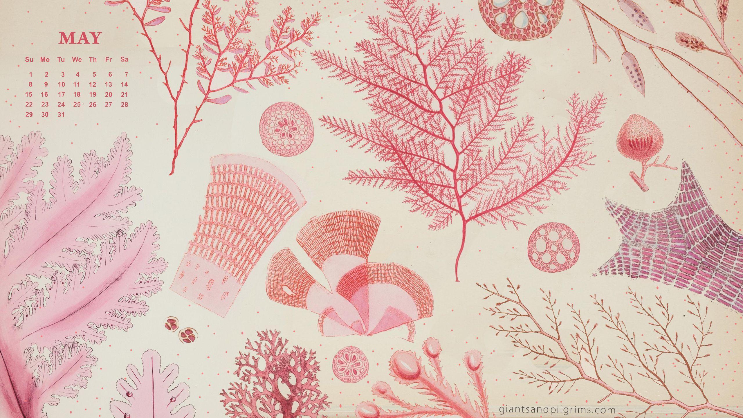 Free 2016 Desktop Wallpapers - Wallpaper Cave