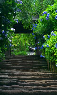 CB Wallpapers - Wallpaper Cave