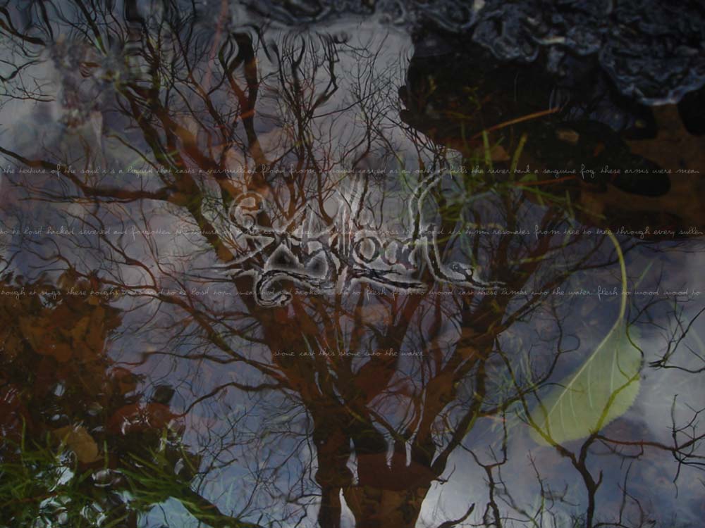 Agalloch Wallpapers - Wallpaper Cave