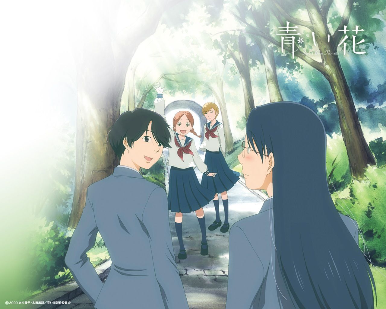 Aoi Hana Wallpapers - Wallpaper Cave