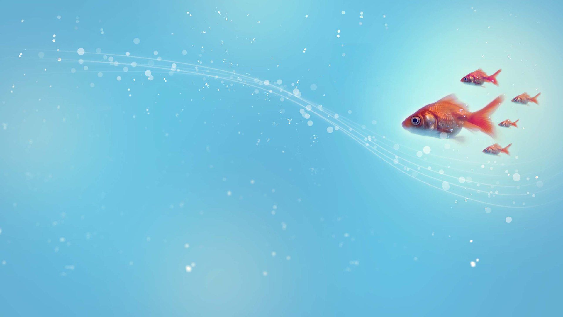 Ornamental Fish Wallpapers - Wallpaper Cave