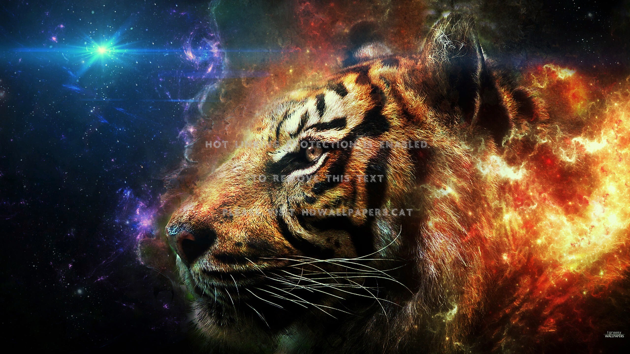Mychical Tigers Wallpapers - Wallpaper Cave