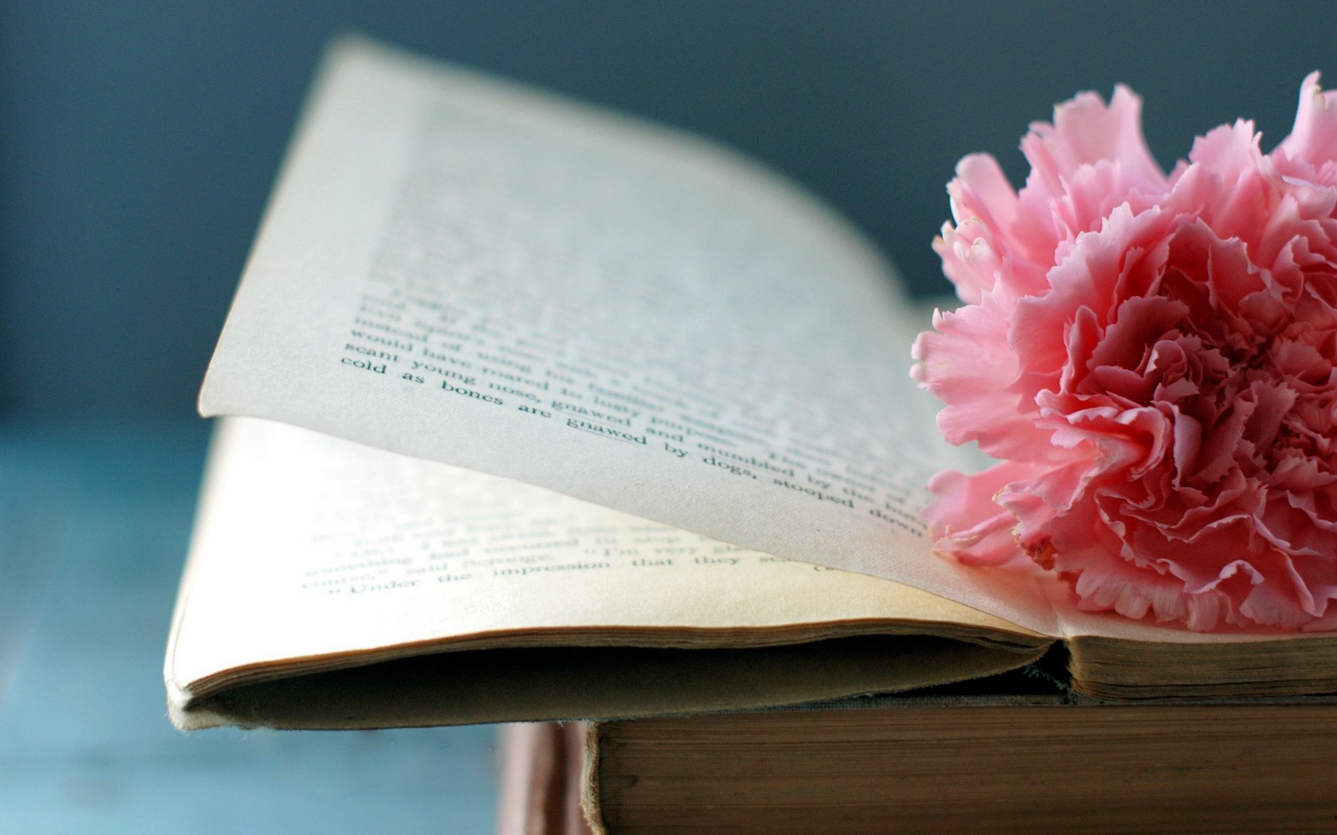 Bookmark Wallpapers - Wallpaper Cave