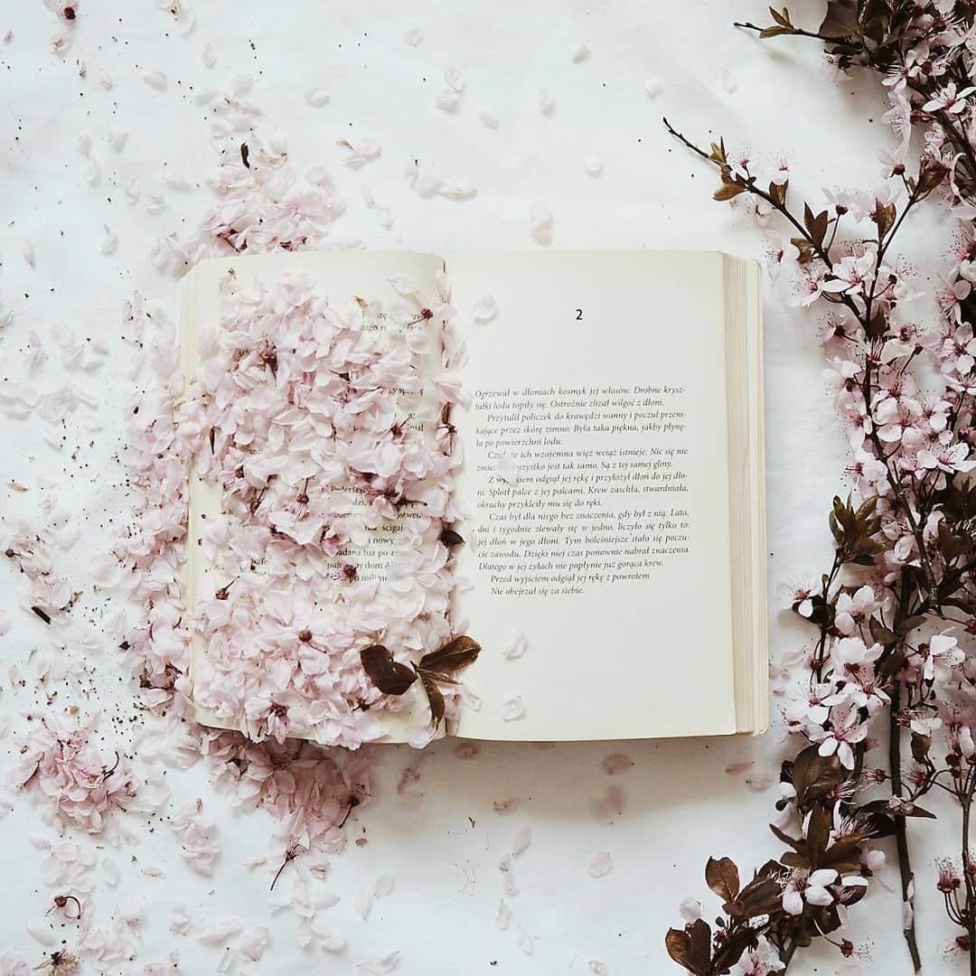 Spring Asthetic Books Wallpapers - Wallpaper Cave