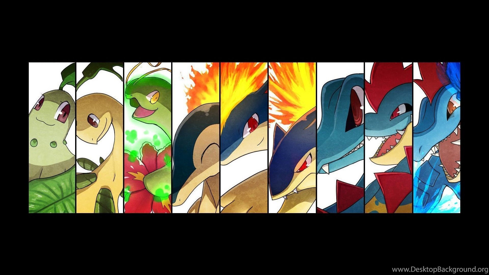 All Starter Pokémon Wallpapers - Wallpaper Cave