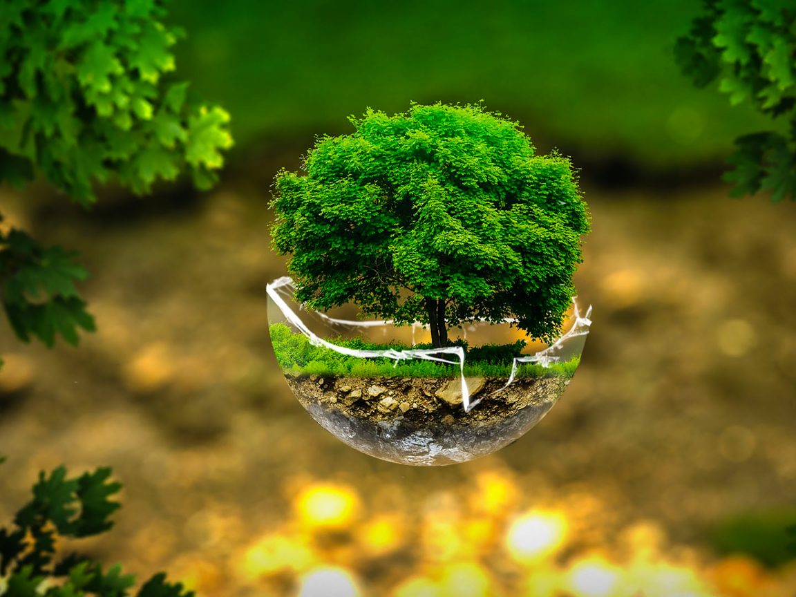 Green Environment Wallpapers - Wallpaper Cave