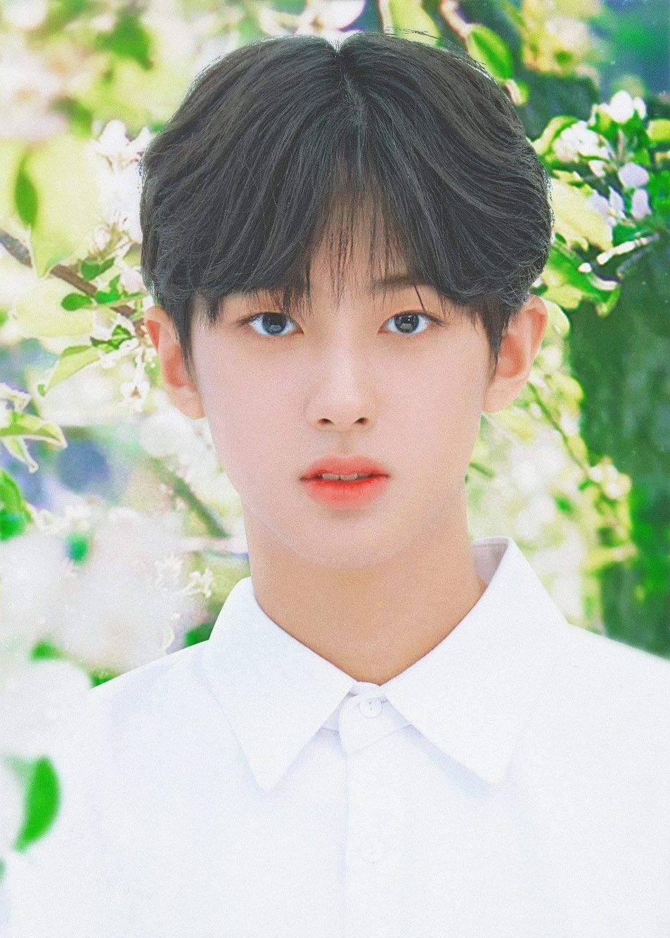 Kim Min-kyu Wallpapers - Wallpaper Cave