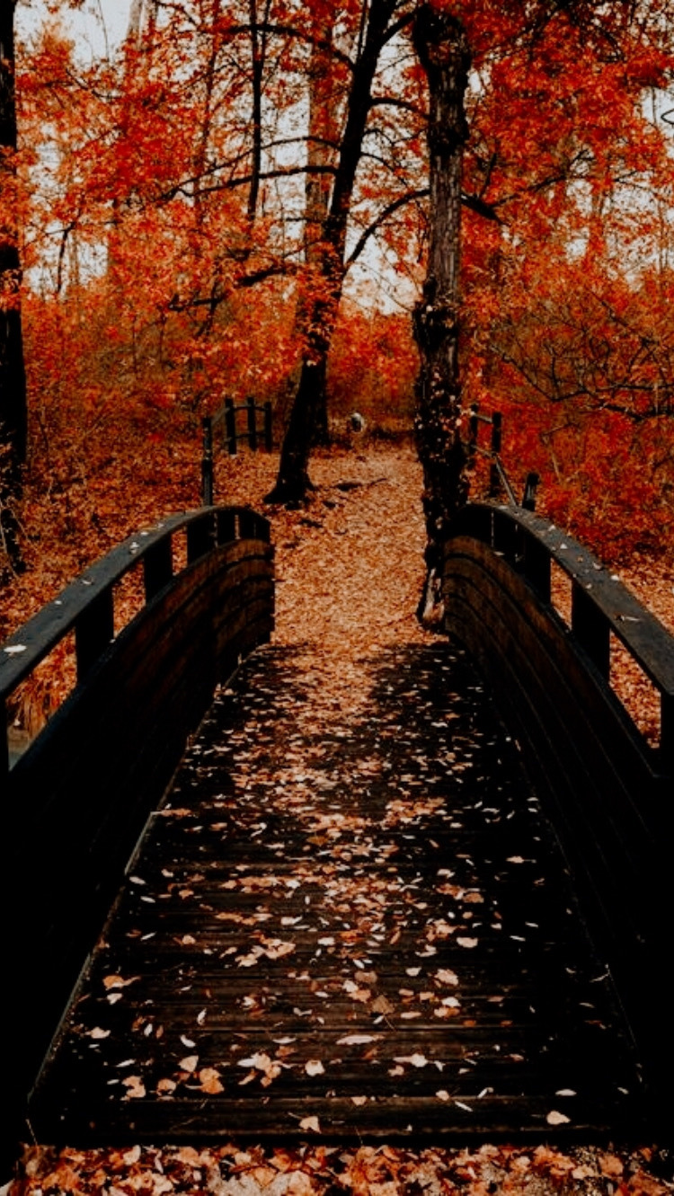 Witchy Autumn Wallpapers - Wallpaper Cave