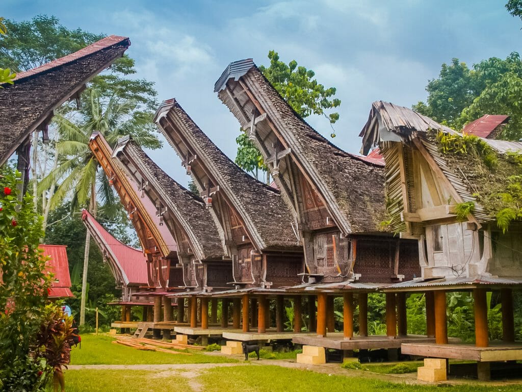 Sulawesi Wallpapers - Wallpaper Cave