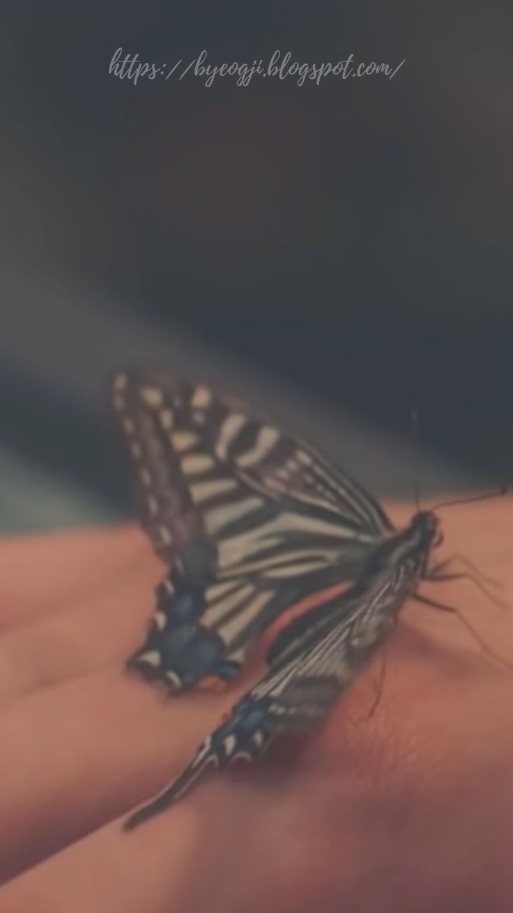 Nevertheless Kdrama Wallpapers - Wallpaper Cave