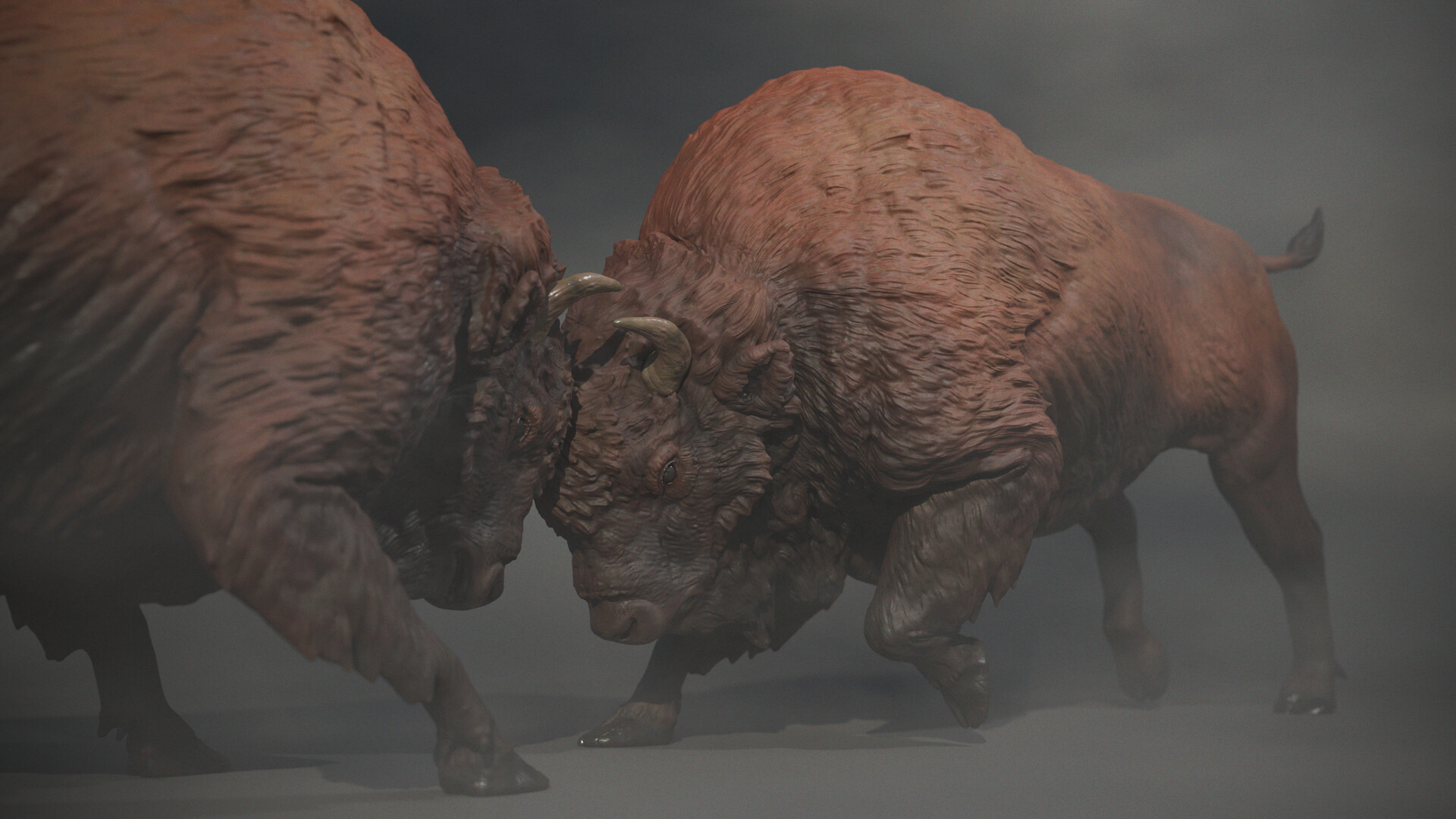 Fighting Bison Wallpapers - Wallpaper Cave