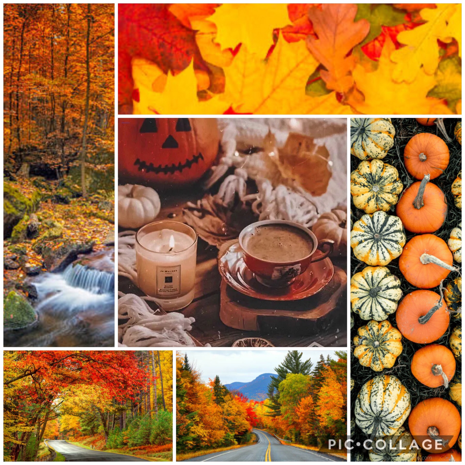 Fall Aesthetic Collage Wallpapers - Wallpaper Cave