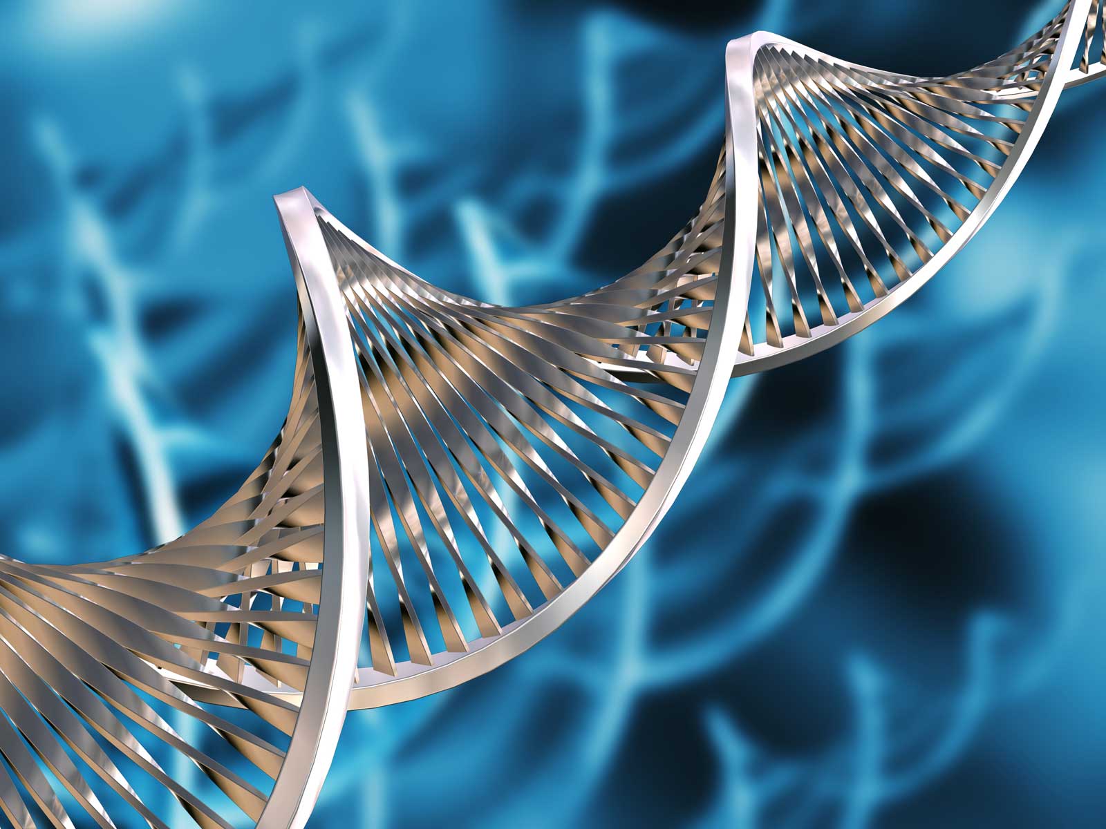 Life Science Wallpapers - Wallpaper Cave