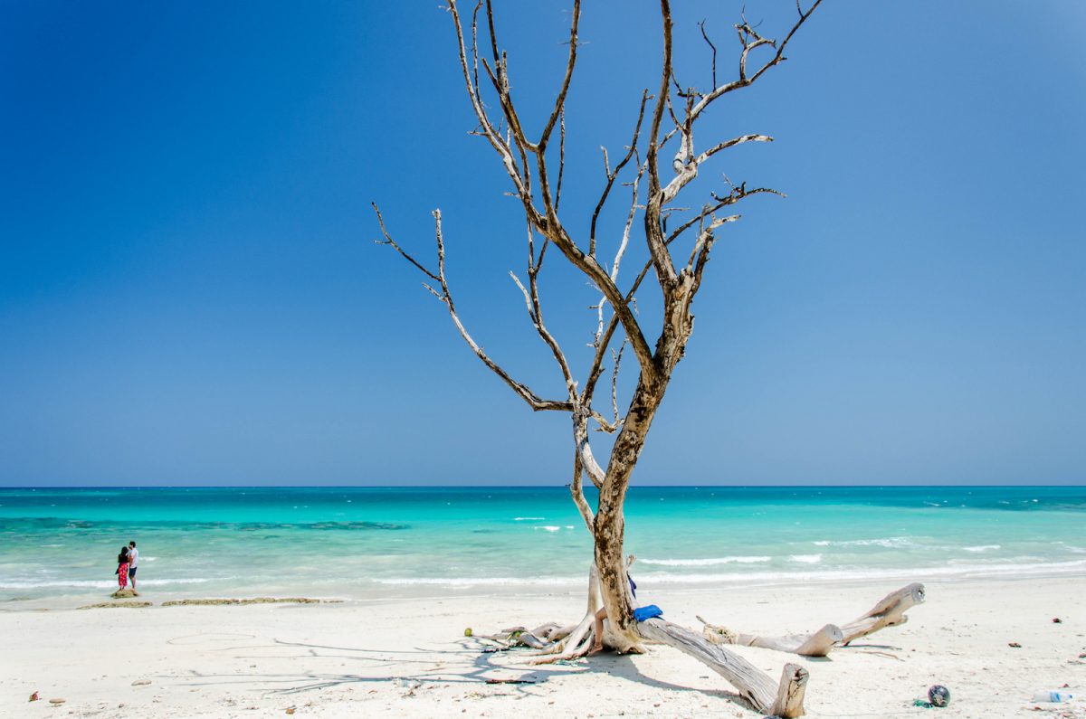 Neil Island, India Wallpapers - Wallpaper Cave