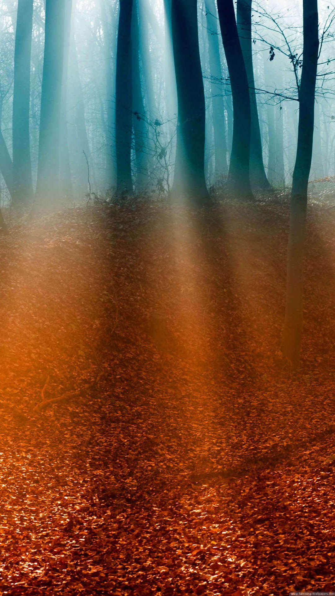 Light Rays Wallpapers - Wallpaper Cave