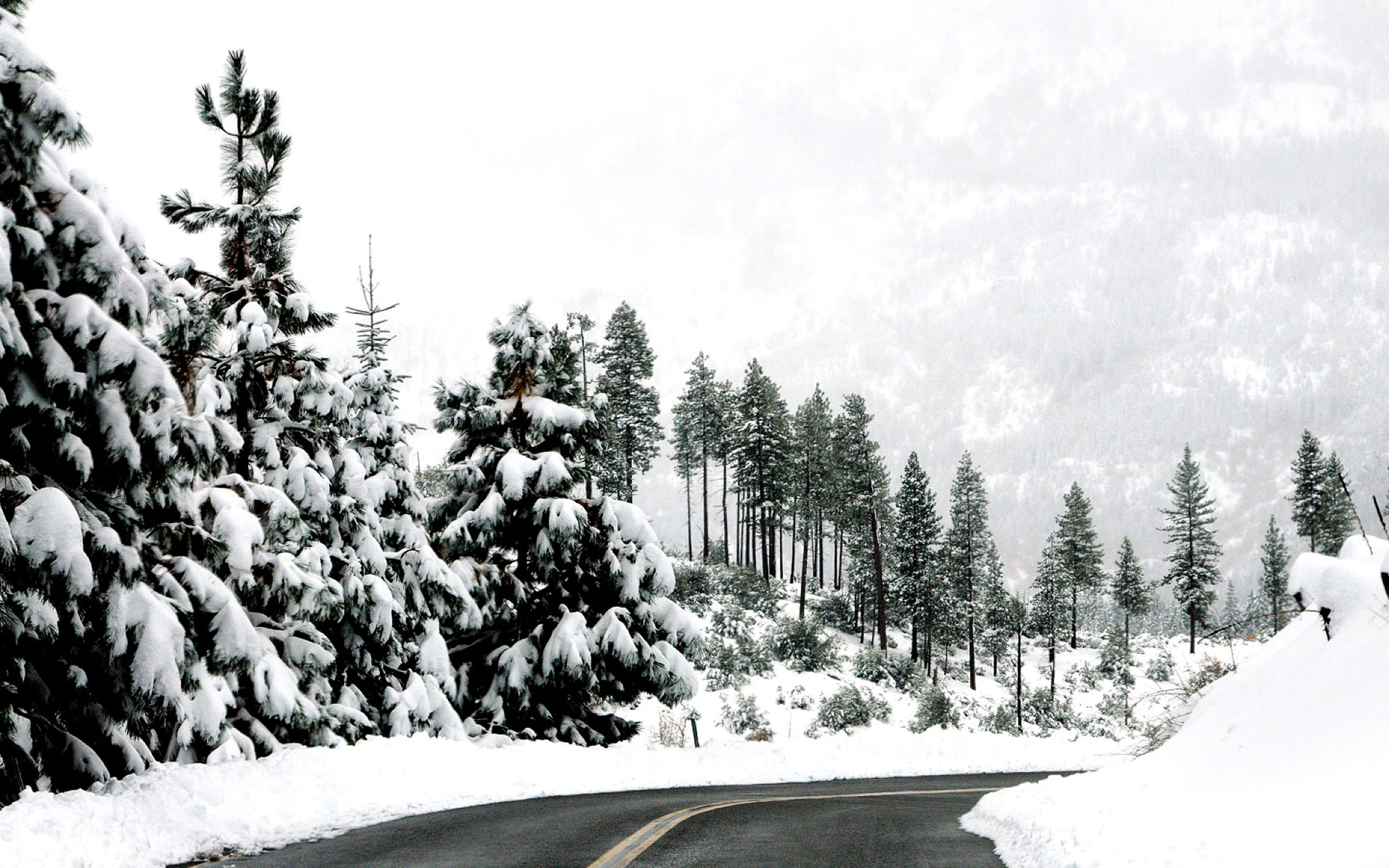 Cute Winter Macbook Wallpapers - Wallpaper Cave