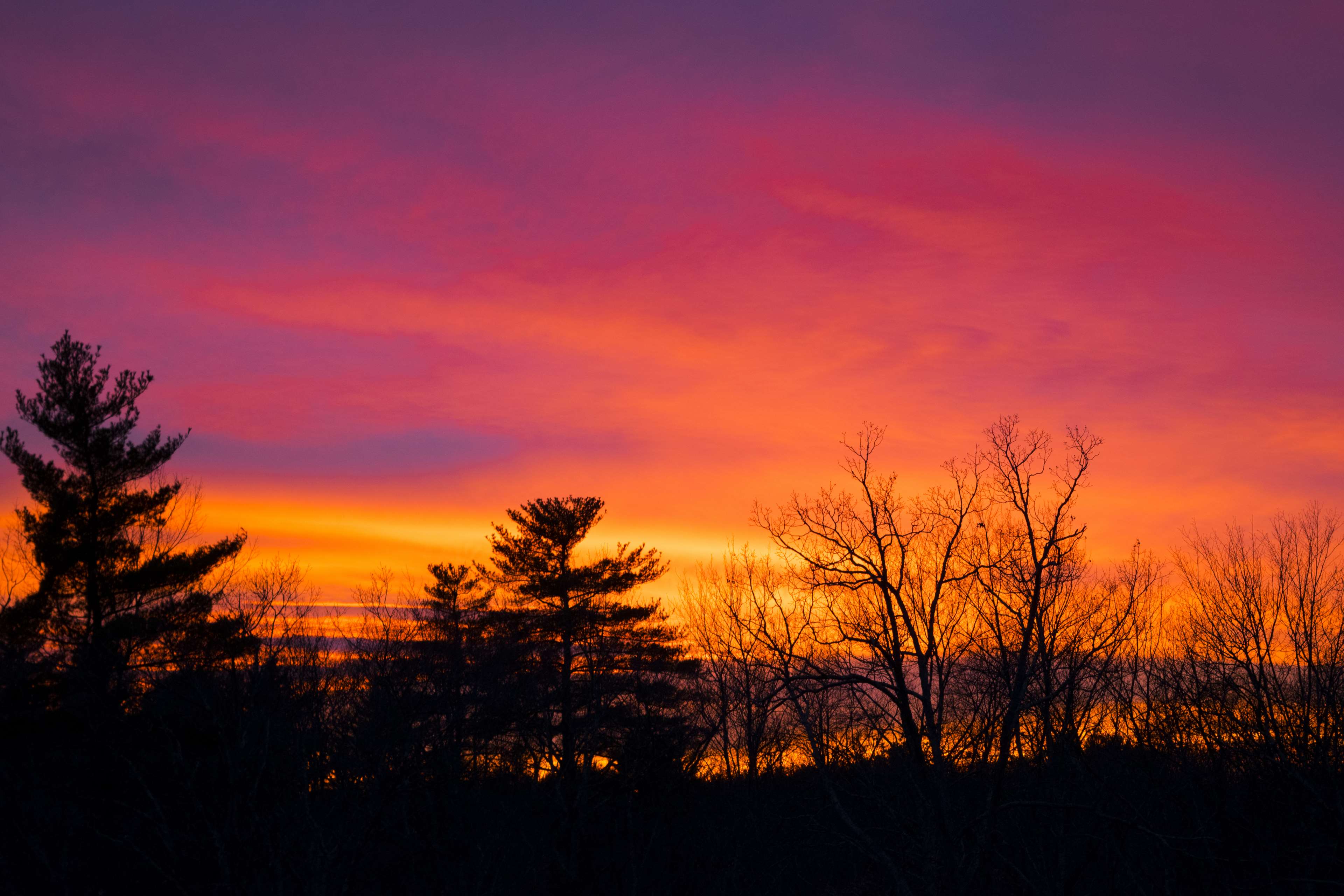 Orange Theme Wallpapers - Wallpaper Cave